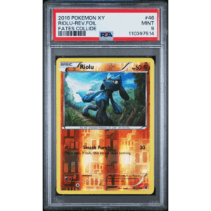 PSA Slabs - MonkelTCG